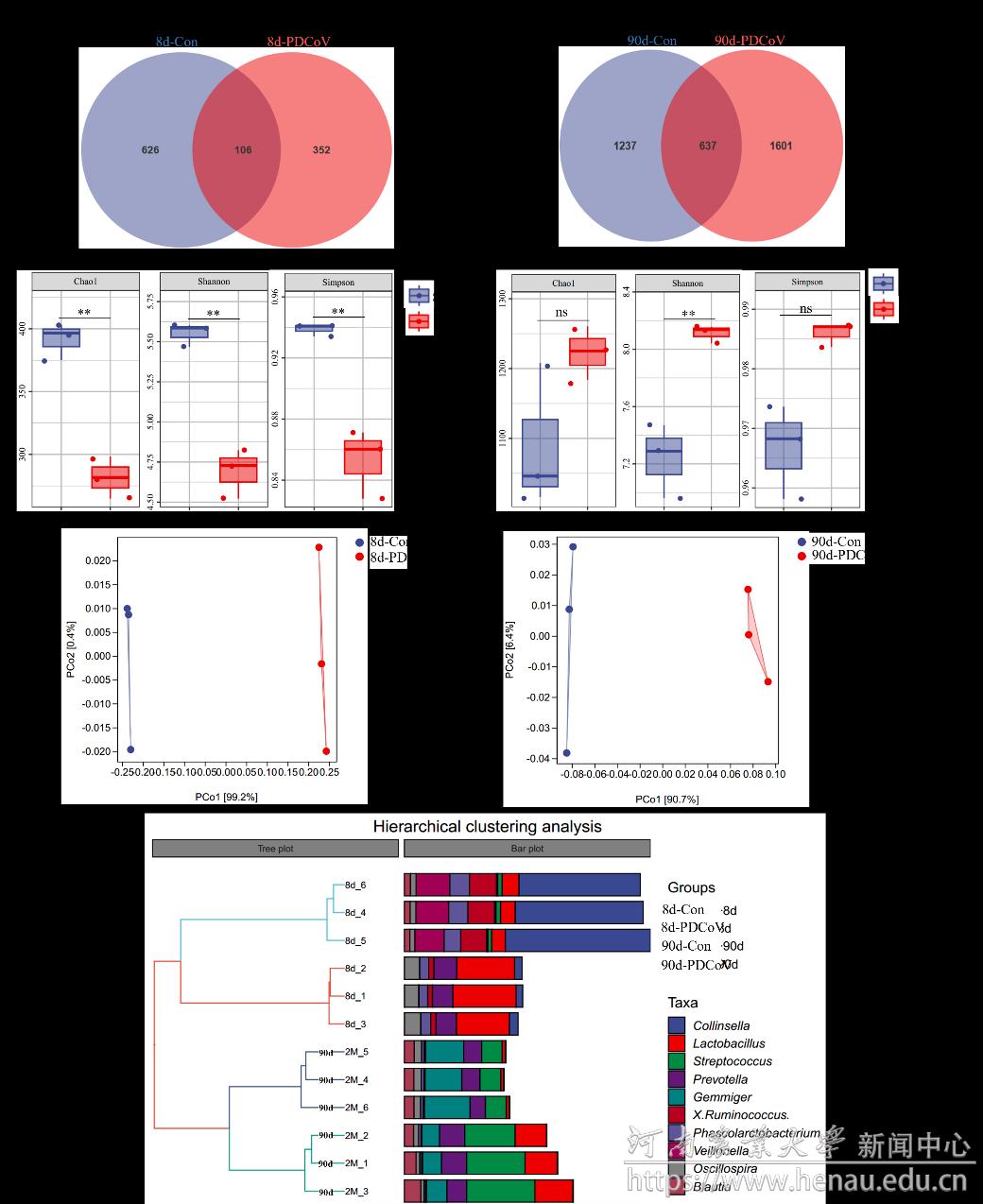 我校魏战勇教授团队在猪肠道菌群调控猪肠道冠状病毒PDCoV感染的分子机制方向取得新进展-河南农业大学